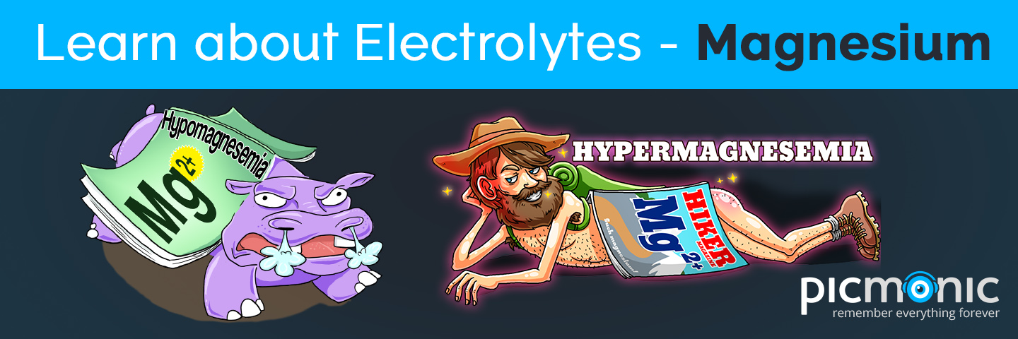 Electrolytes Made Easy: Learn More with Picmonic for Nursing - Picmonic