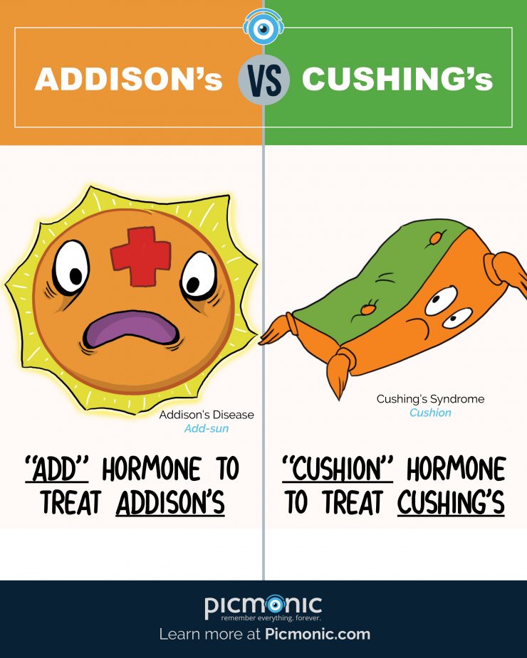 [Infographic] How to Study: Addisons vs Cushings | Picmonic