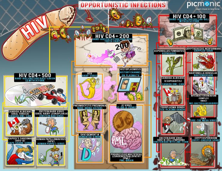 [Infographic] How to Study: HIV Susceptible Diseases by CD4+ Count ...