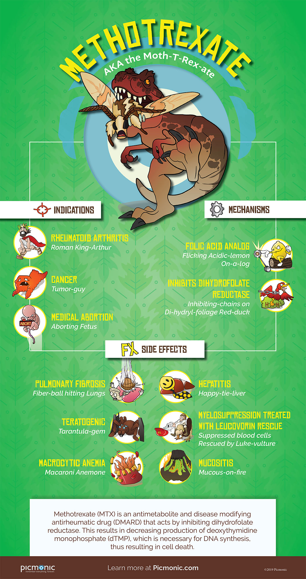  Infographic How To Study Methotrexate Picmonic