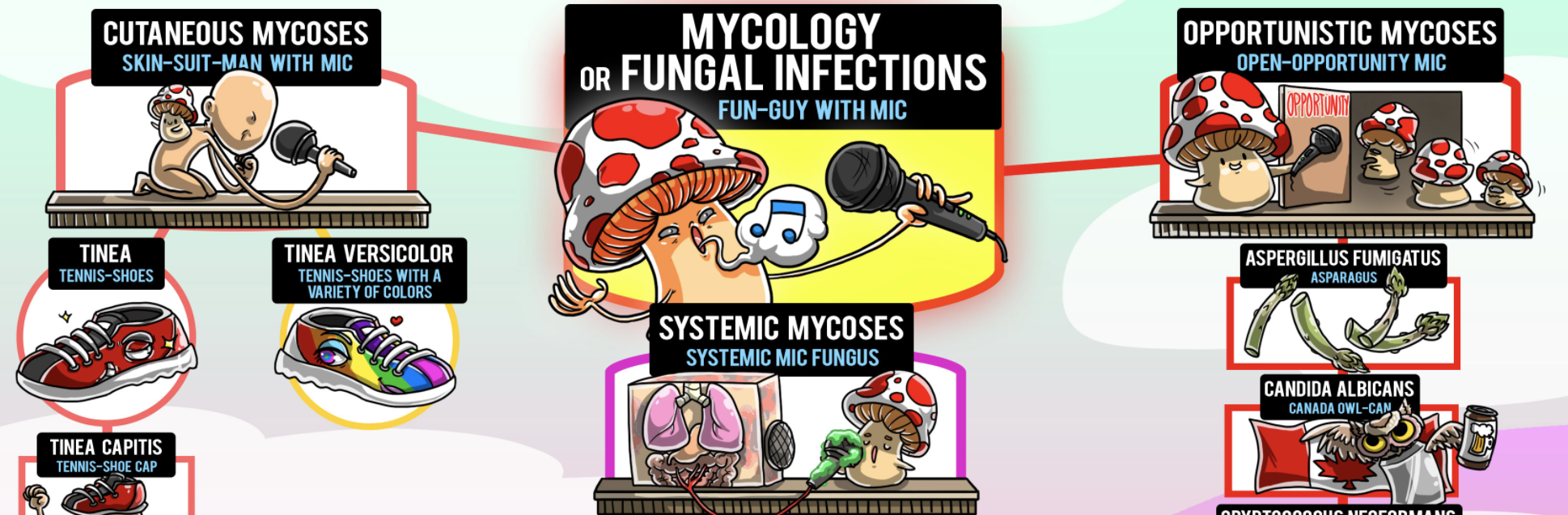 [Infographic] How to Study: Mycology | Picmonic