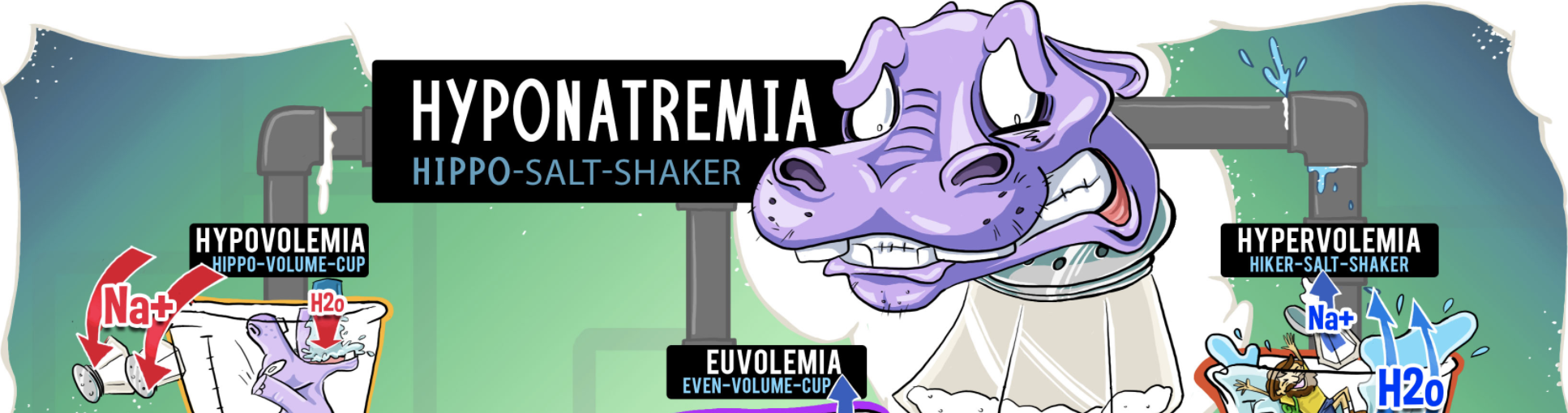 [Infographic] How to Study: Hyponatremia | Picmonic