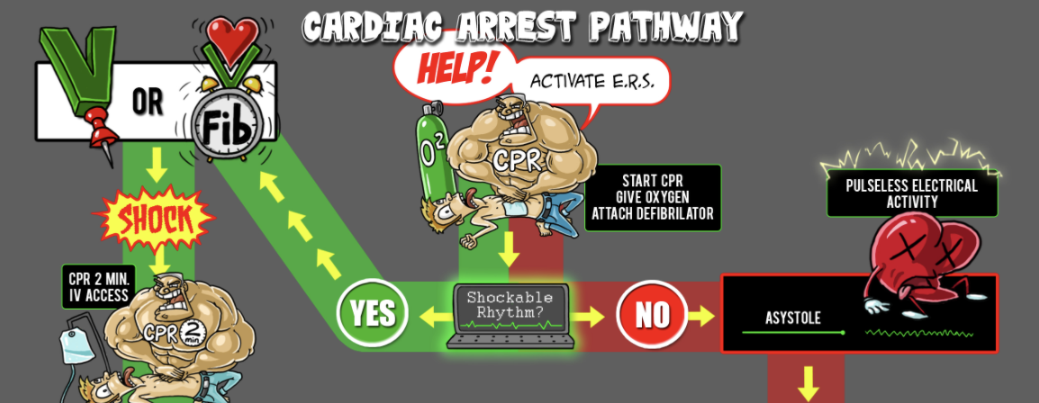 [Infographic] How to Study: ACLS Pathway | Picmonic