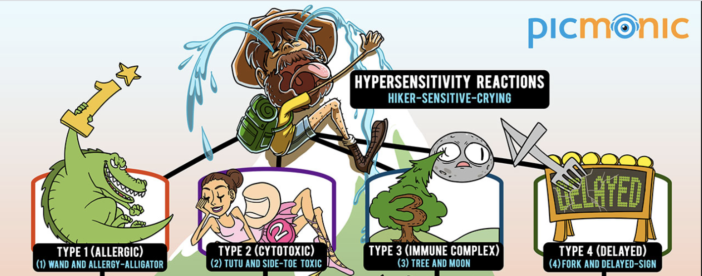 [Infographic] How to Study: Hypersensitivity Reactions