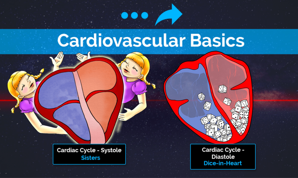 Cardiac Cycle: Systole & Diastole Explained with Picmonic
