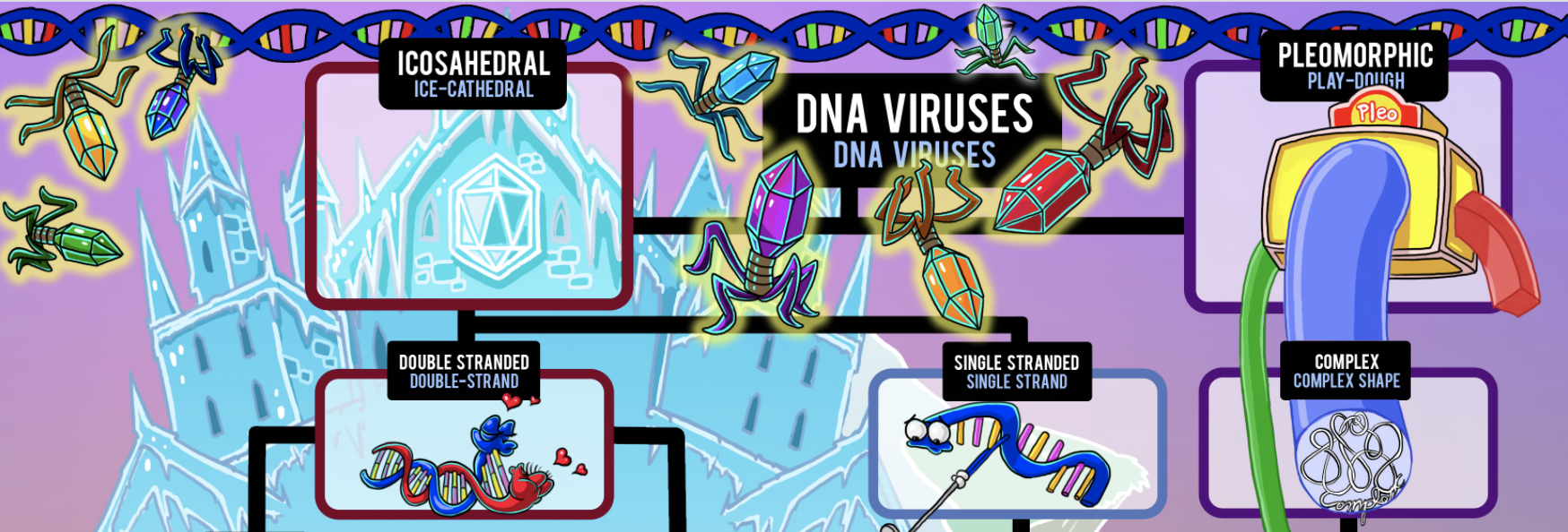 [Infographic] How to Study: Virus DNA